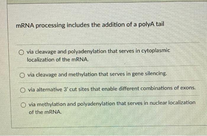 Solved Epigenetics includes DNA modifications that affect | Chegg.com