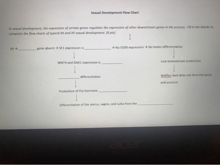 Solved Sexual Development Flow Chart In sexual development, | Chegg.com