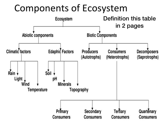 Solved Components of Ecosystem Ecosystem Definition this | Chegg.com