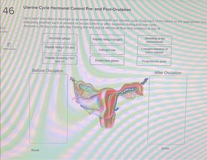 Solved Uterine Cycle Hormonal Control Pre- and | Chegg.com