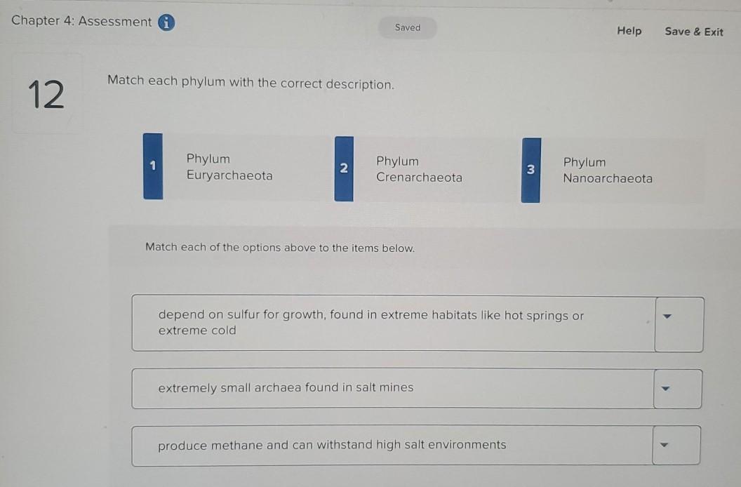 Solved Chapter 4: Assessment Saved Help Save & Exit Match | Chegg.com