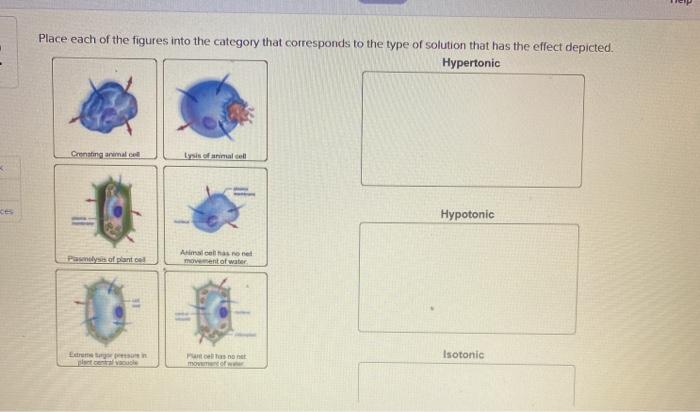Solved Classify the following molecules based on their | Chegg.com Solved Classify the following molecules based on their | Chegg.com