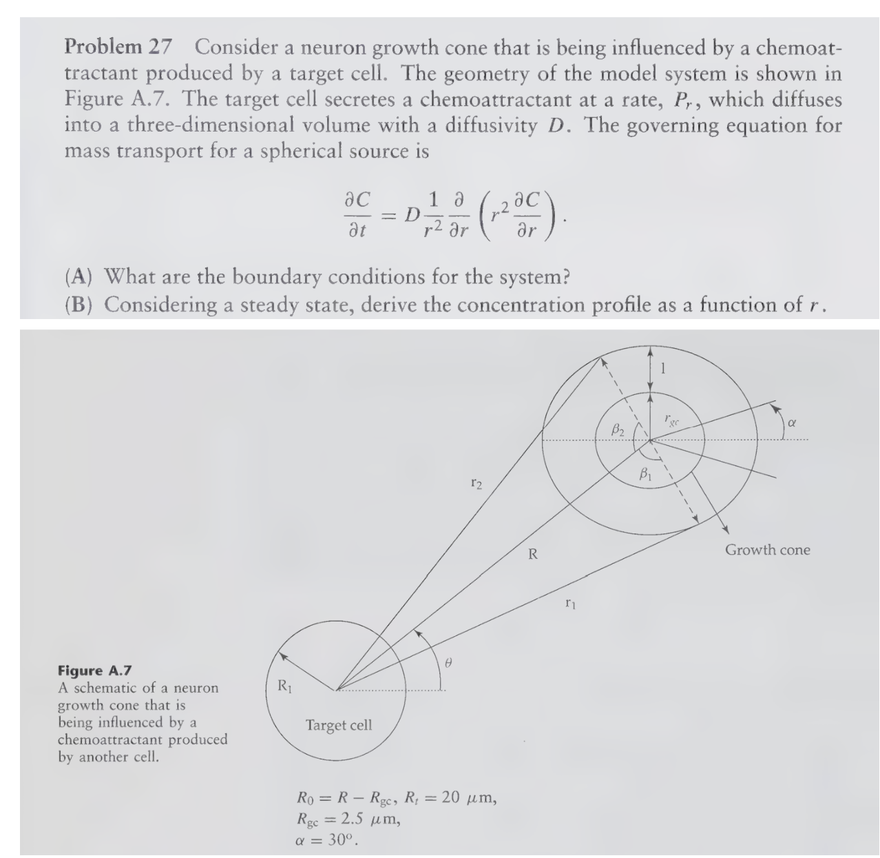 Solved Problem 27 ﻿Consider a neuron growth cone that is | Chegg.com