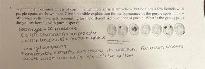 Solved Please correct me if I'm wrong. Thank you in | Chegg.com
