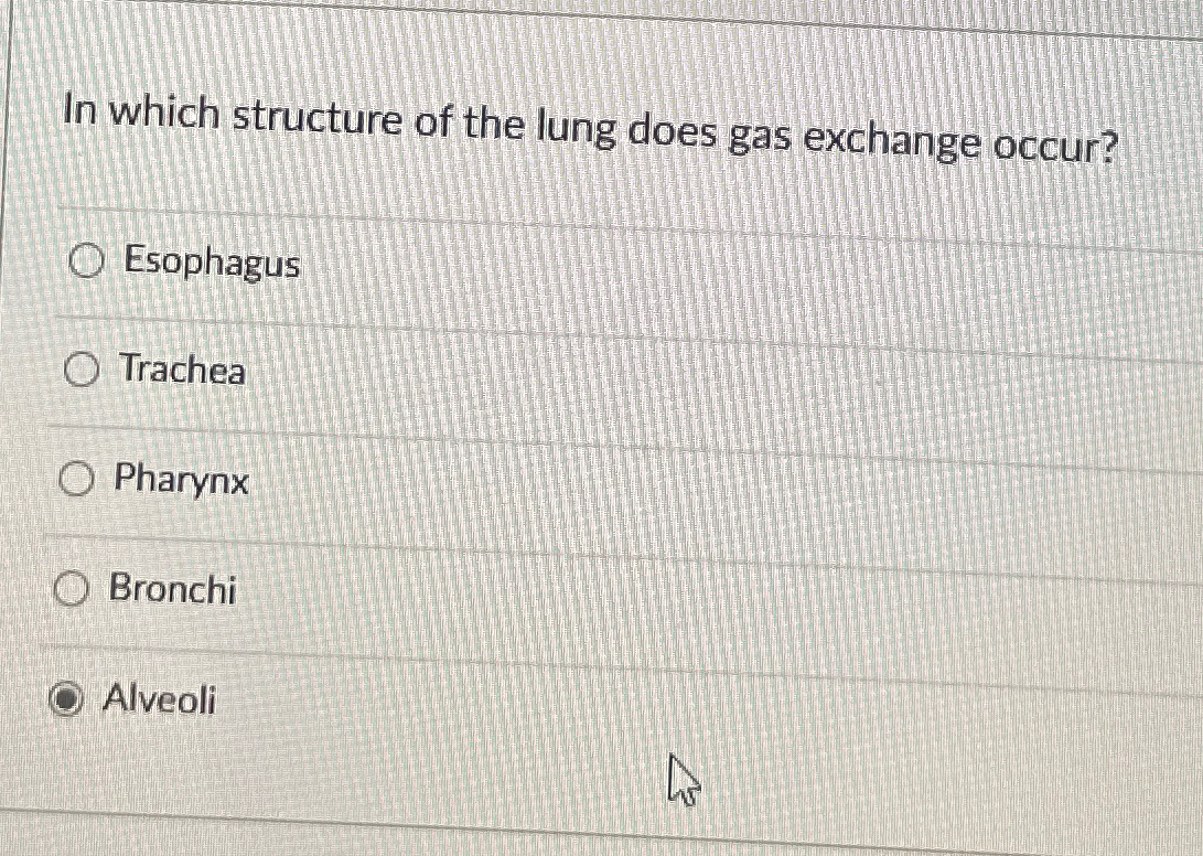 Solved In which structure of the lung does gas exchange | Chegg.com