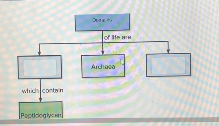 Solved Please move the correct terms into their | Chegg.com
