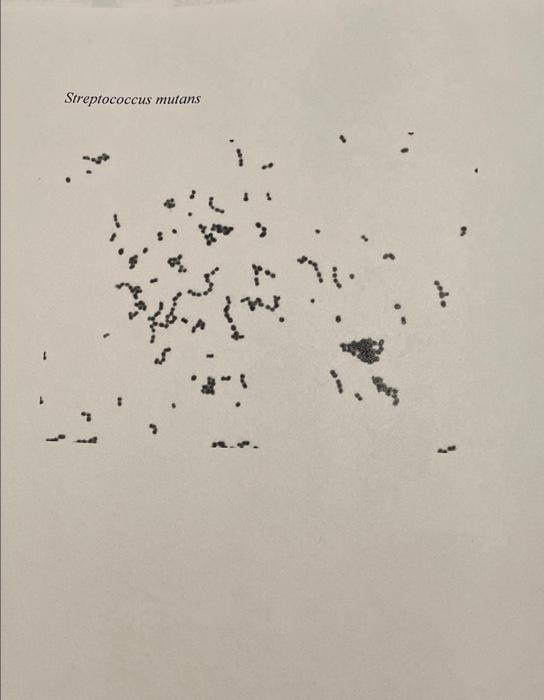 Solved Name Dote Section EXERCISE Laboratory Report: Simple | Chegg.com