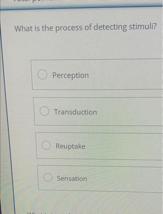 Solved What is the process of detecting stimuli? O | Chegg.com