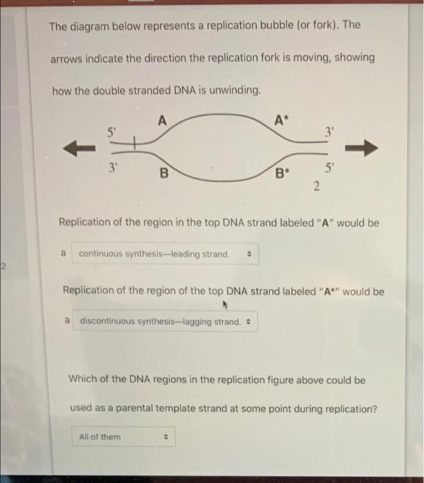 Solved 2 The diagram below represents a replication bubble | Chegg.com