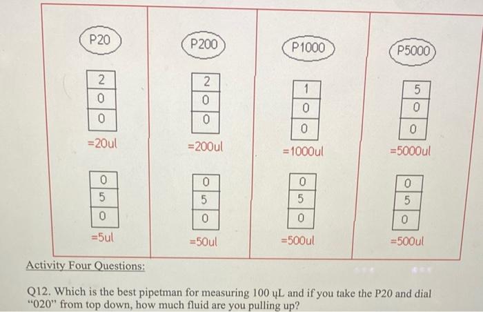 Solved P20 P200 P1000 P5000 Nolo 2 0 0 5 0 0 0 0 =20ul | Chegg.com