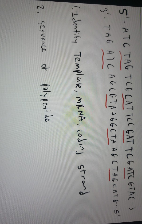 Solved s - ATC TAG TC CAT TCC CAT TC6 ATC GTAC - 9. TA6 ATC | Chegg.com