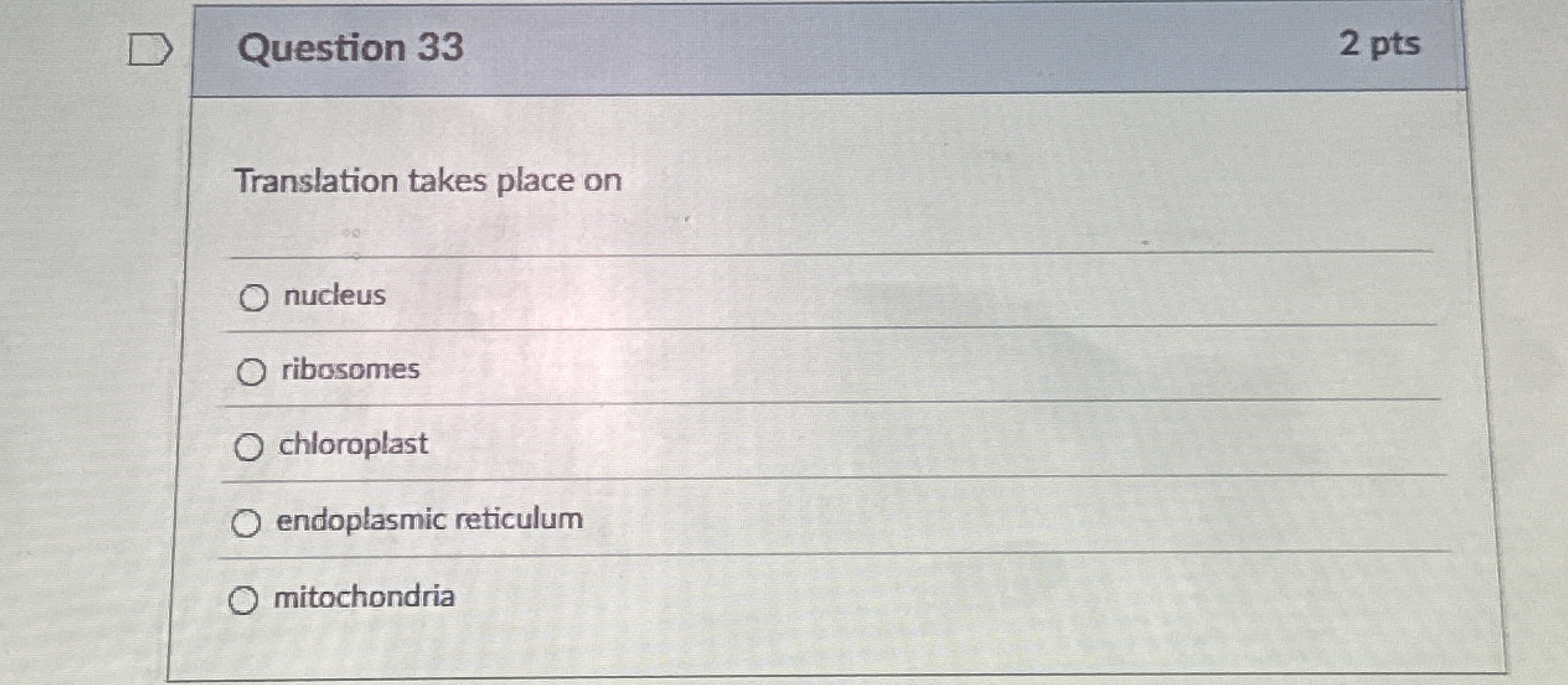 Solved Question 332 ﻿ptsTranslation takes place | Chegg.com