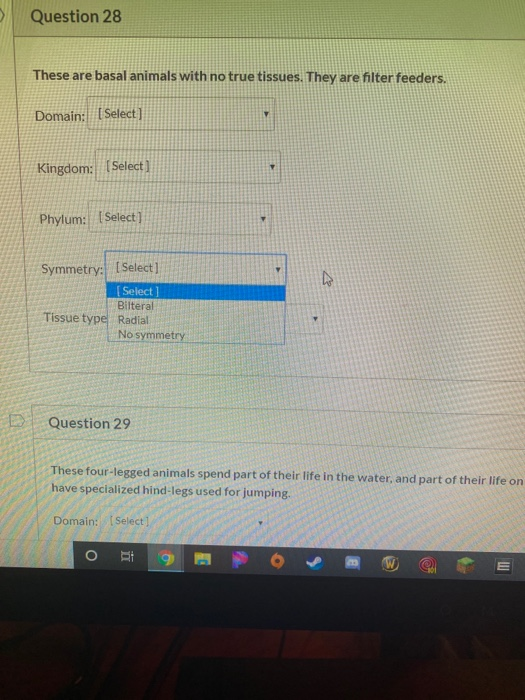 Solved D Question 28 5 p These are basal animals with no | Chegg.com