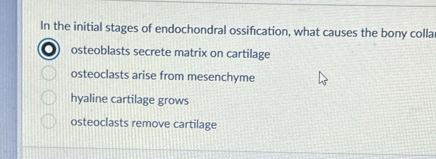 Solved In the initial stages of endochondral ossification, | Chegg.com