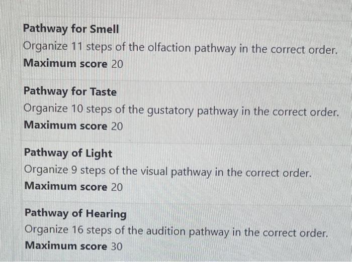 Solved Pathway for Smell Organize 11 steps of the olfaction | Chegg.com
