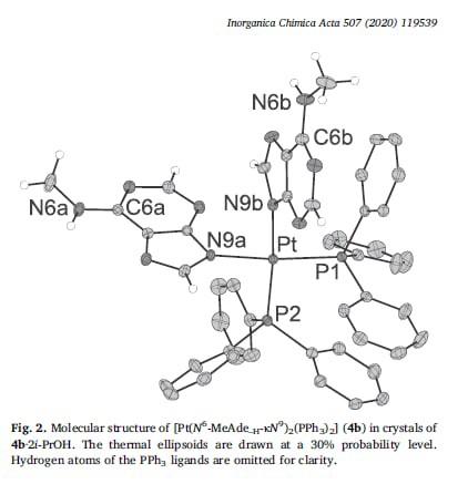 Solved N7 N1 Pt Pt N6 IN6 Fig. 1. Calculated molecular | Chegg.com