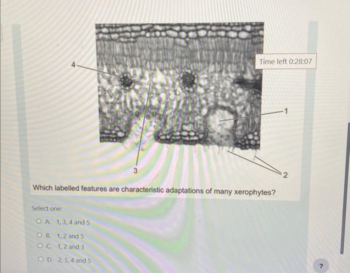 Solved Which labelled features are characteristic | Chegg.com