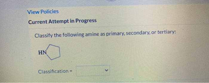 Solved View Policies Current Attempt in Progress Classify | Chegg.com