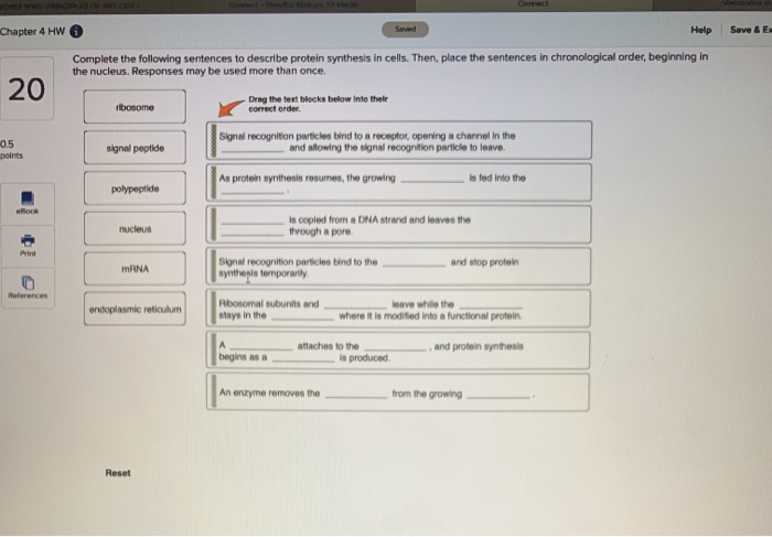 Solved Drag the text blocks below Into their correct order. | Chegg.com