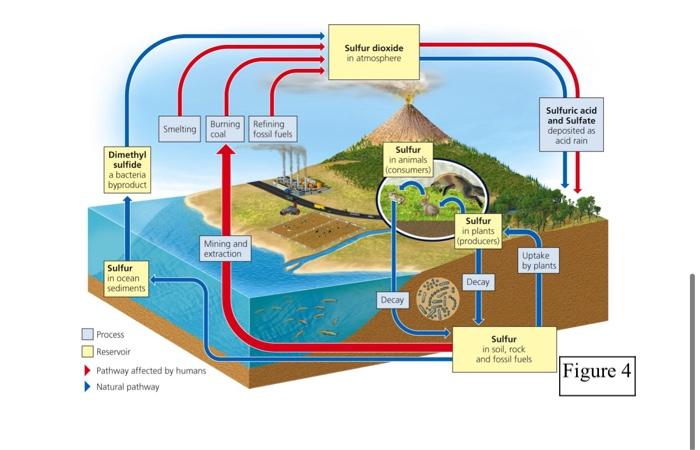 Solved The Sulfur Cycle (Fig 4) 1. What three human | Chegg.com