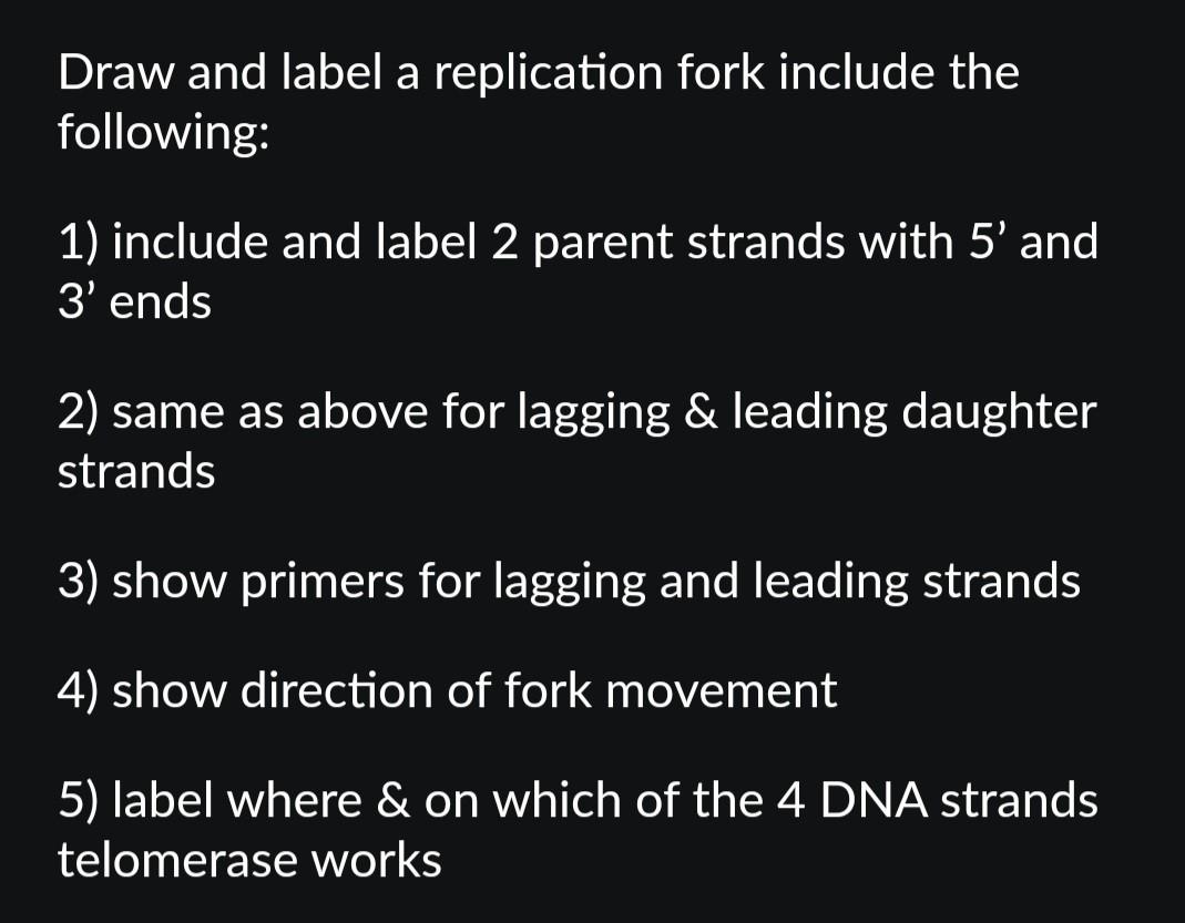 Solved Draw and label a replication fork include the | Chegg.com