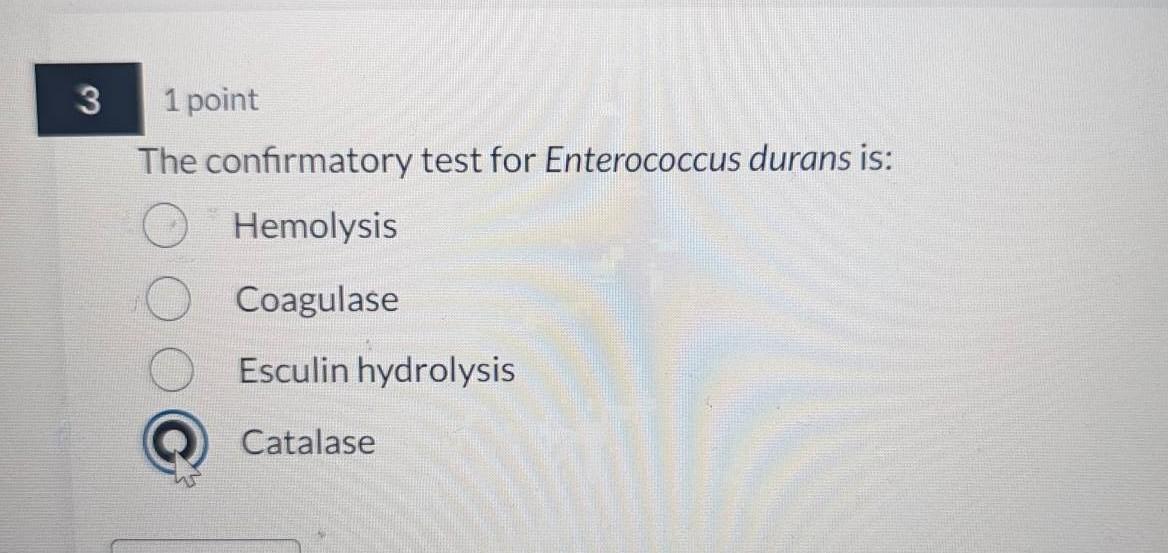 Solved 31 point The confirmatory test for Enterococcus | Chegg.com