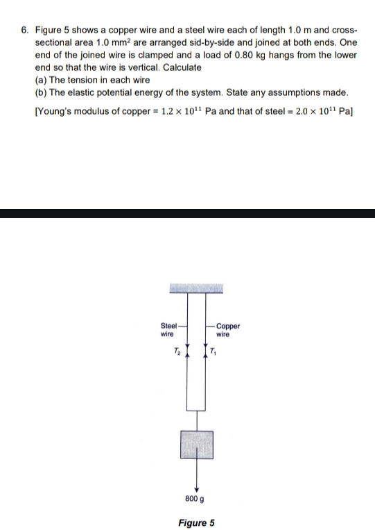 Solved Figure 5 ﻿shows a copper wire and a steel wire each | Chegg.com