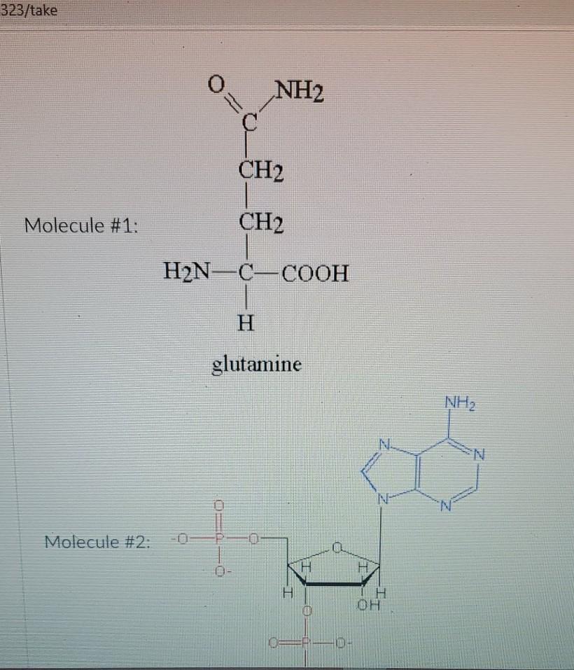 Solved 323/take O= NH2 CH2 Molecule #1: CH2 H2N-C-COOH H | Chegg.com