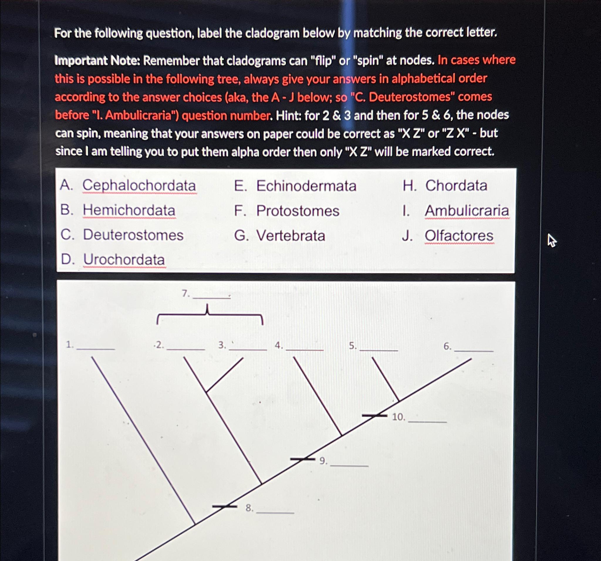 Solved For the following question, label the cladogram below | Chegg.com