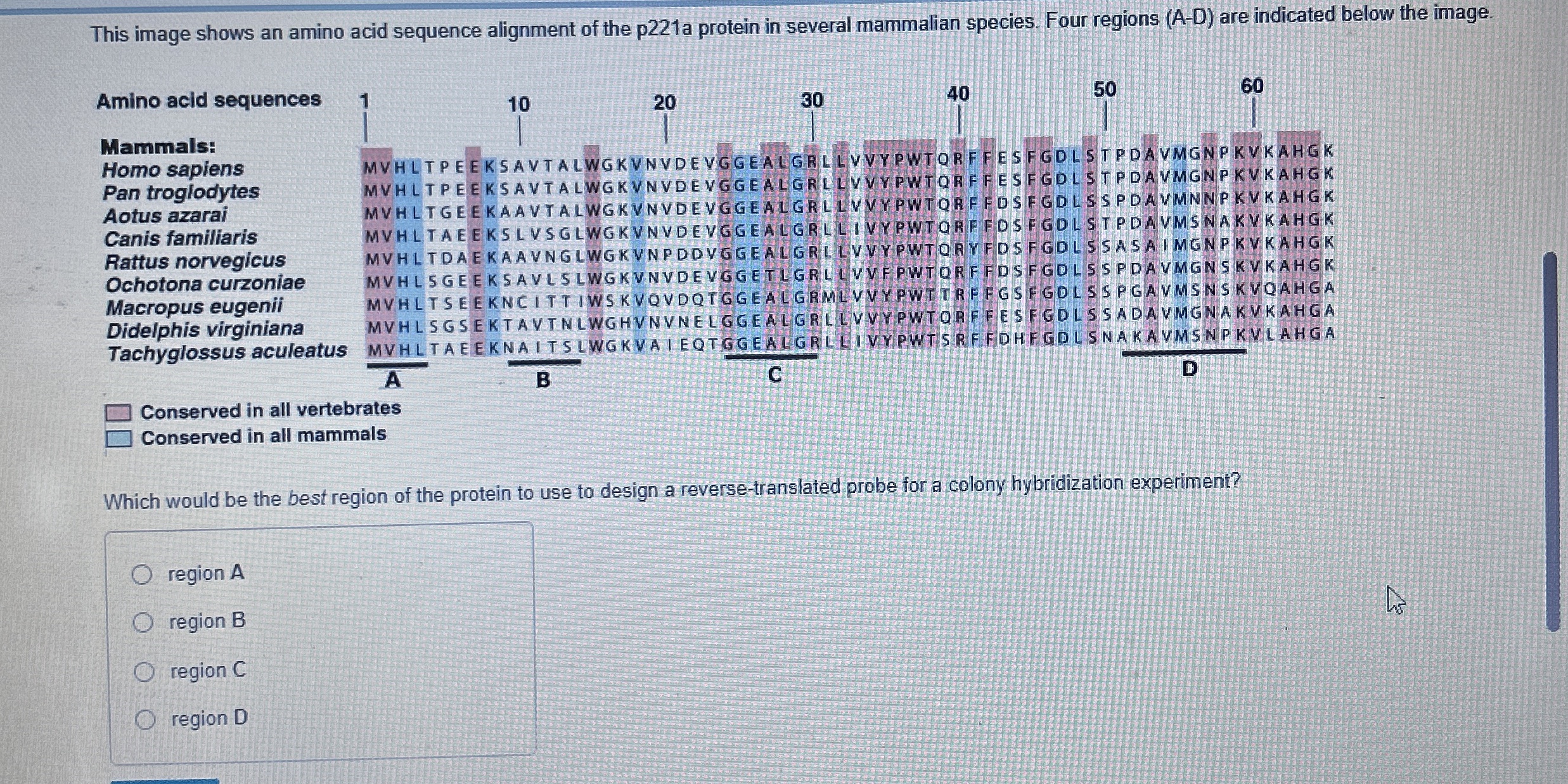 Solved This image shows an amino acid sequence alignment of | Chegg.com