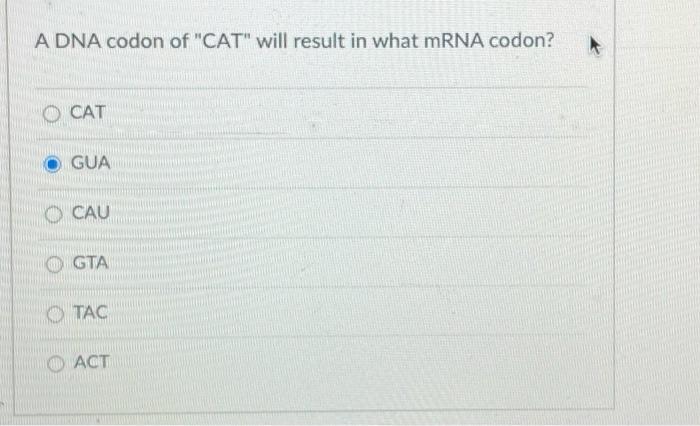 Solved Which of the following is NOT a stop codon? UAG UAC | Chegg.com