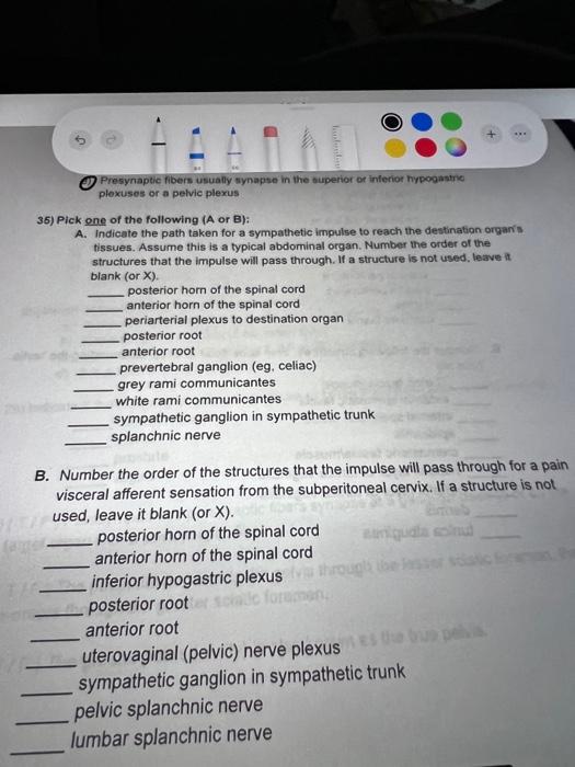 Solved (1) Presynaptic fibers usually synapse in the | Chegg.com