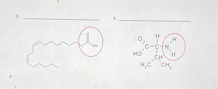 Solved Functional group identification worksheet Name the | Chegg.com