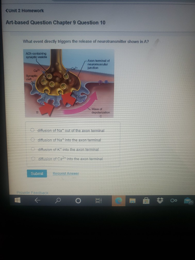 Solved Question | Chegg.com