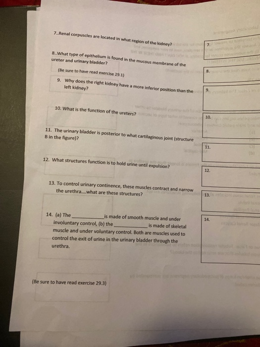 Solved Week 4 Laboratory Assignment Duilize this template to | Chegg.com