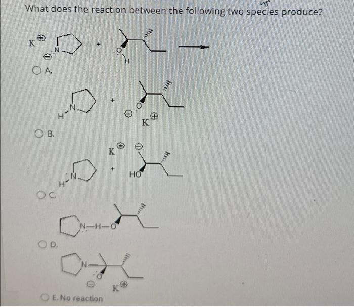 Solved WS What does the reaction between the following two | Chegg.com