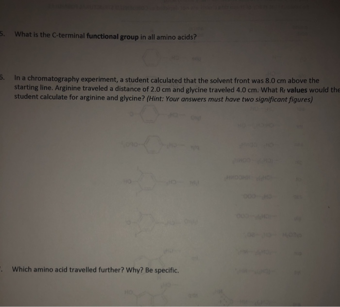 Solved 5. What is the C-terminal functional group in all | Chegg.com