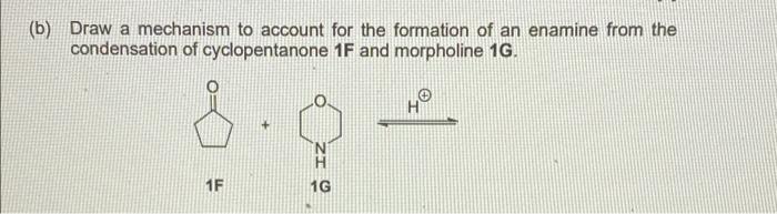 Solved (b) Draw a mechanism to account for the formation of | Chegg.com