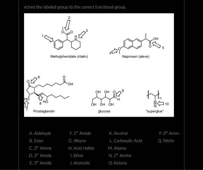 Solved itched the labeled group to the correct functional | Chegg.com