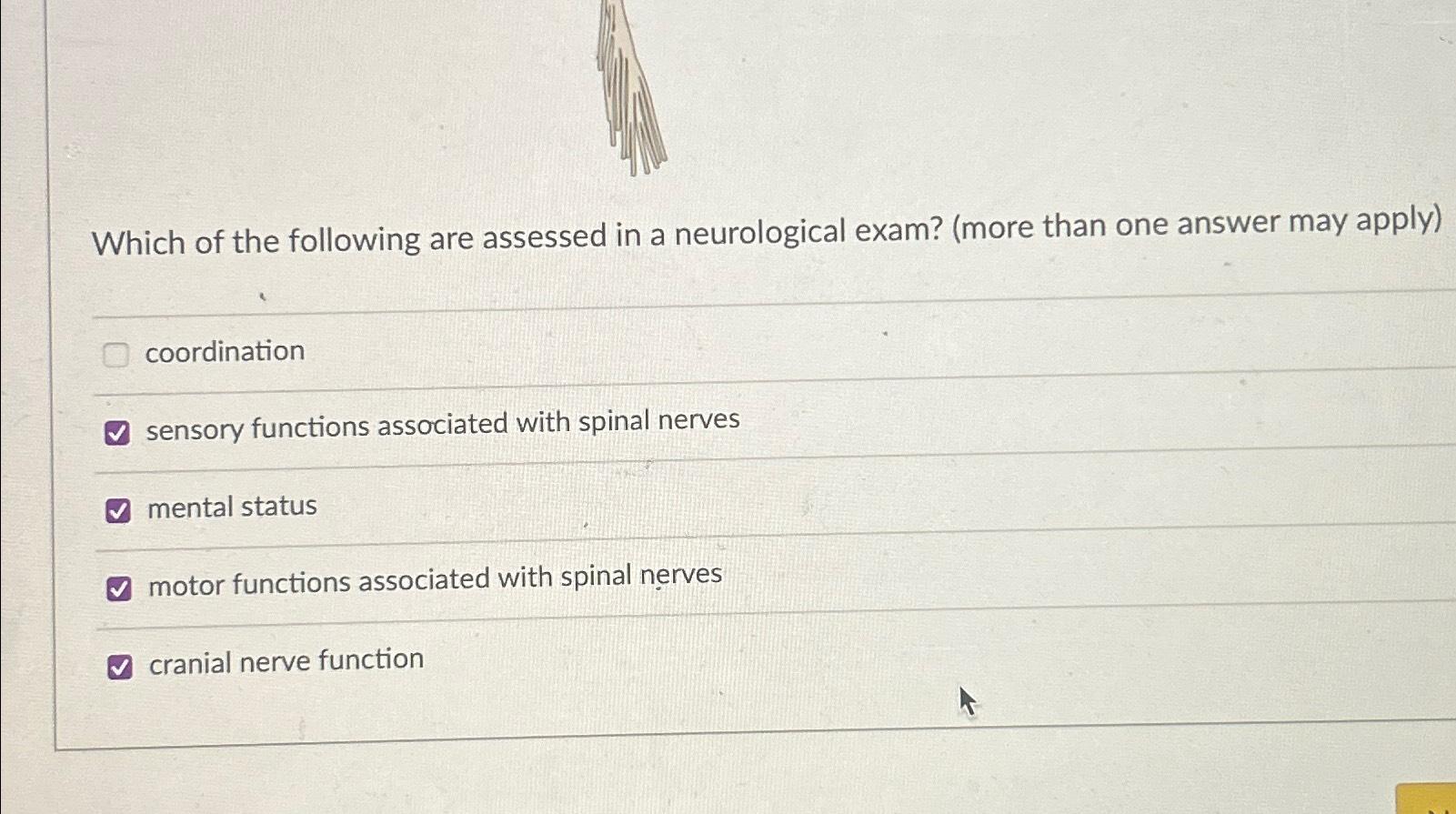 Solved Which of the following are assessed in a neurological | Chegg.com