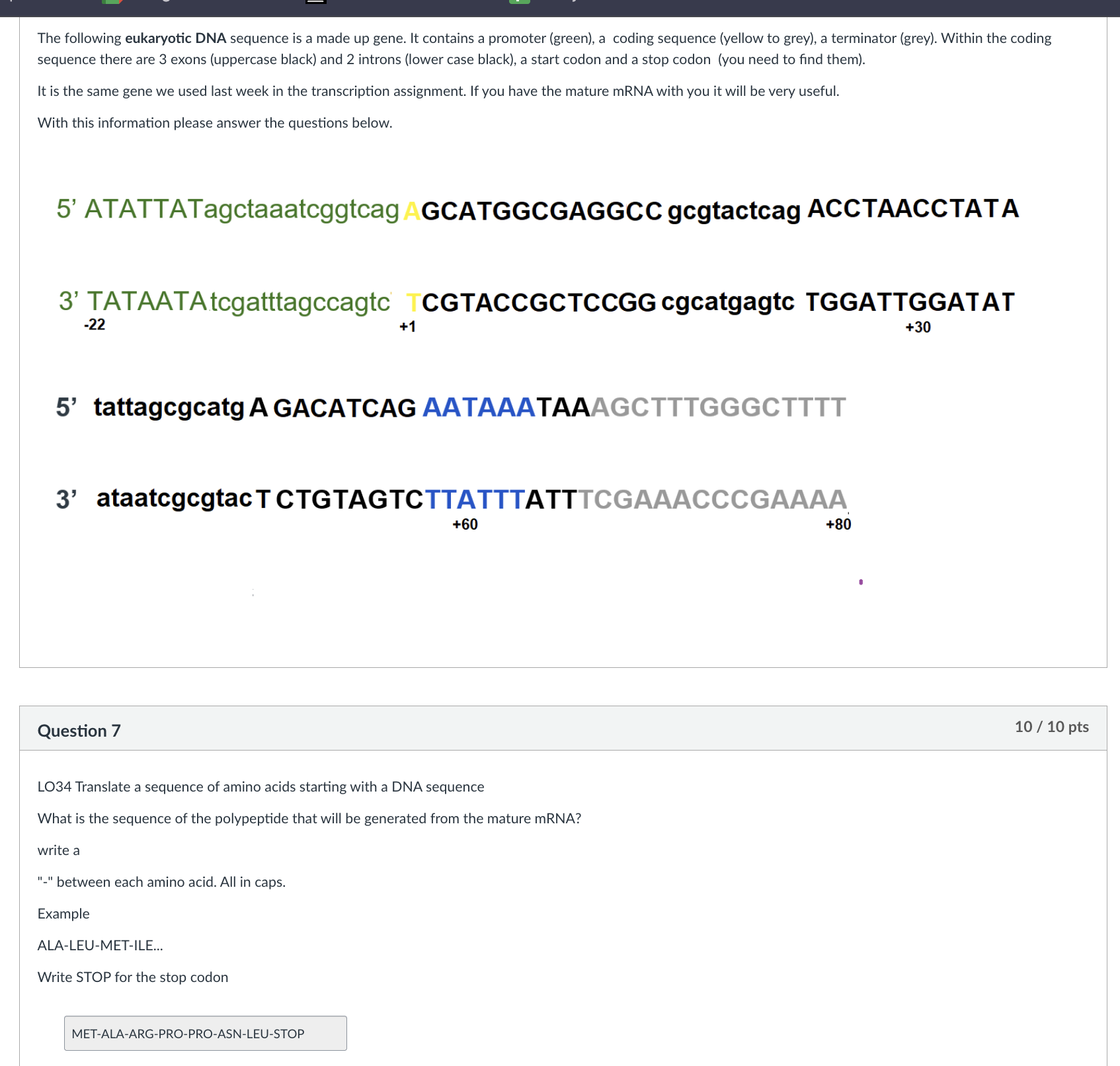 Solved LO34 ﻿Translate a sequence of amino acids starting | Chegg.com