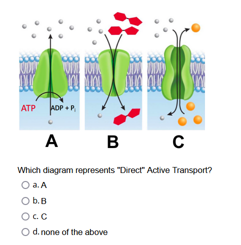 Solved ABCWhich diagram represents "Direct" Active | Chegg.com