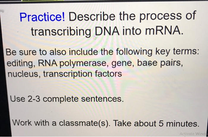 Solved Practice! Describe the process of transcribing DNA | Chegg.com