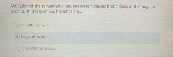 Solved Activation of the sympathetic nervous system causes | Chegg.com