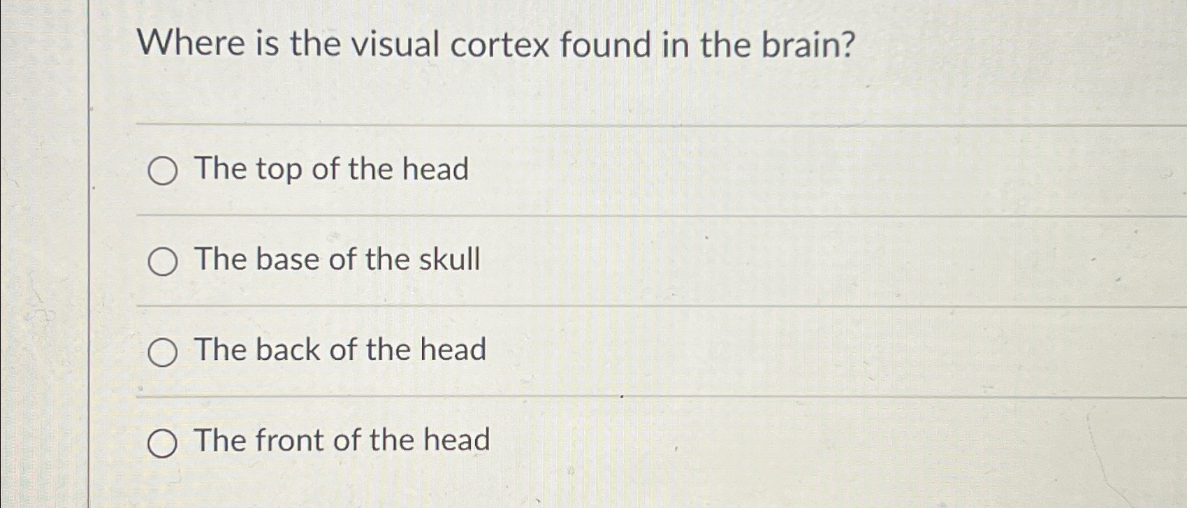 Solved Where is the visual cortex found in the brain?The top | Chegg.com