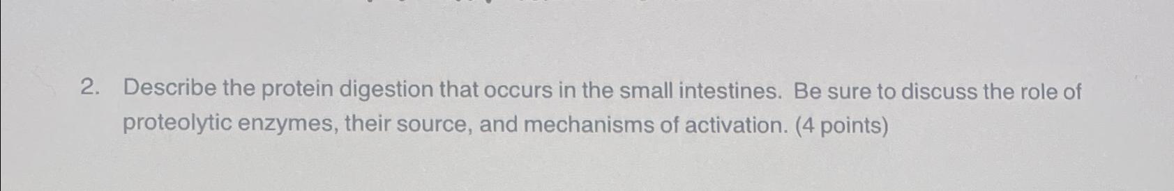 Solved Describe the protein digestion that occurs in the | Chegg.com