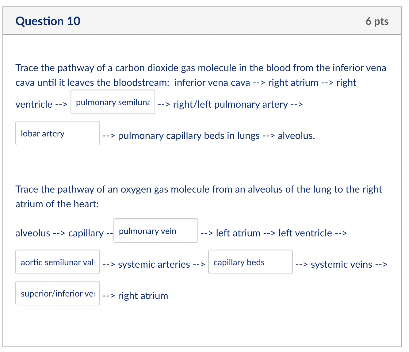 Solved Question 10Trace the pathway of a carbon dioxide gas | Chegg.com