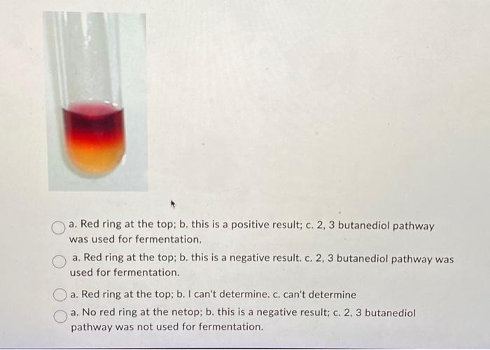 Solved The image is a VP test tube inoculated with bacteria. | Chegg.com