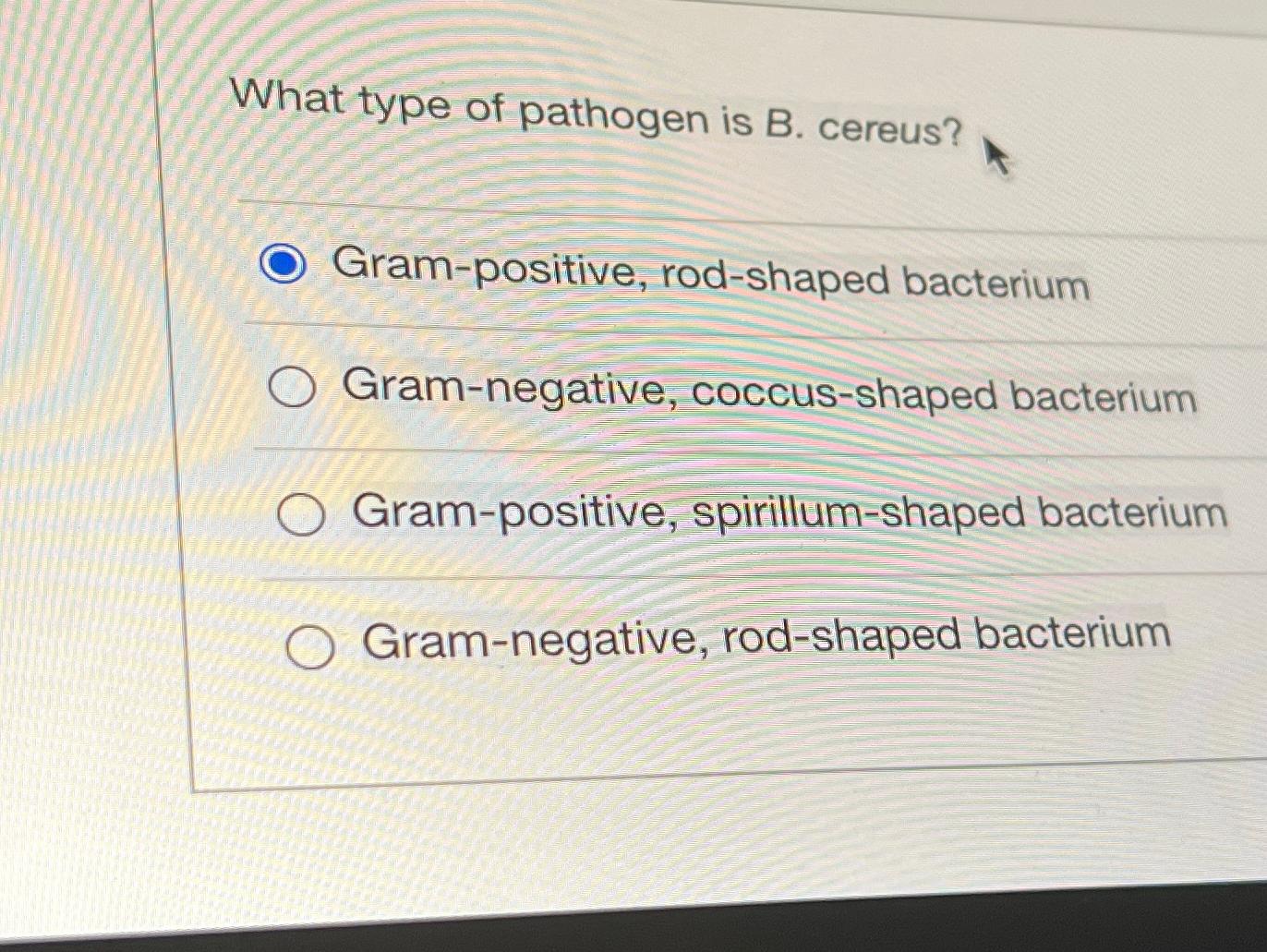 Solved What type of pathogen is B. ﻿cereus?Gram-positive, | Chegg.com