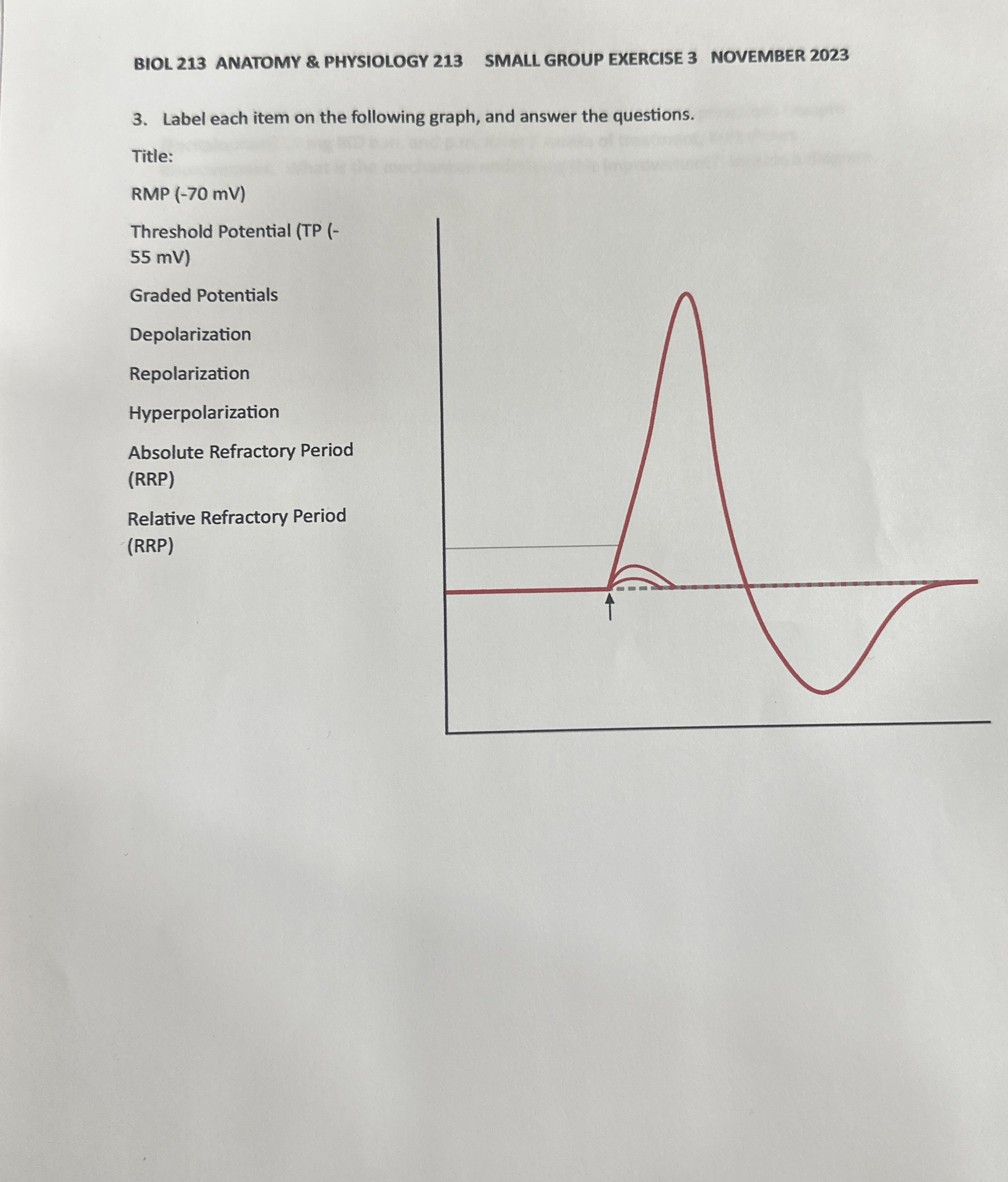 Solved BIOL 213 ﻿ANATOMY & PHYSIOLOGY 213 ﻿SMALL GROUP | Chegg.com